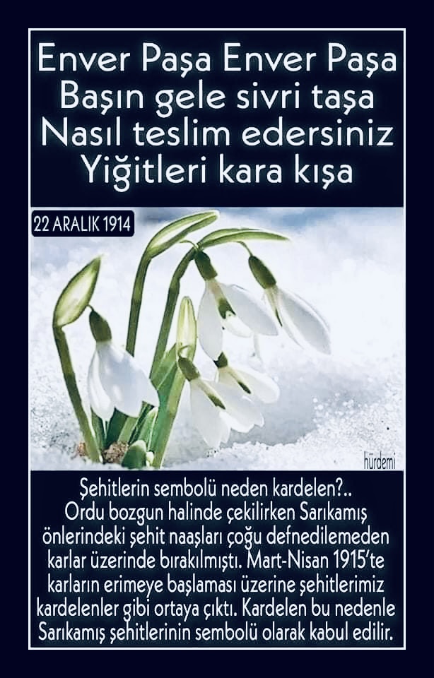 SARIKAMIŞ VE ENVER PAŞA – Turkish Forum
